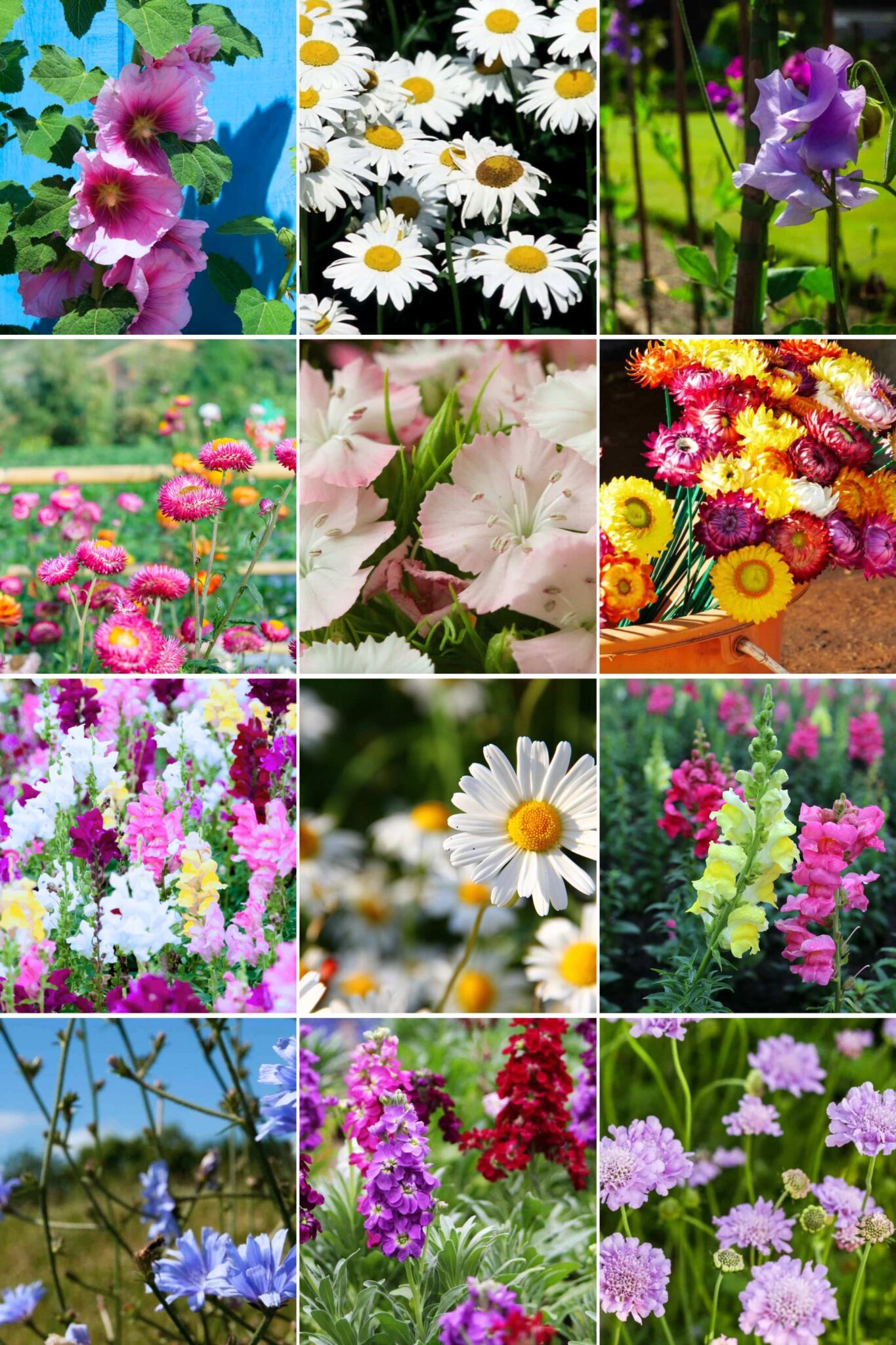 7 Practical + Inspiring 10 x 10 Garden Plans {Sample Layouts for Vegetable Gardens} : Heart's ...