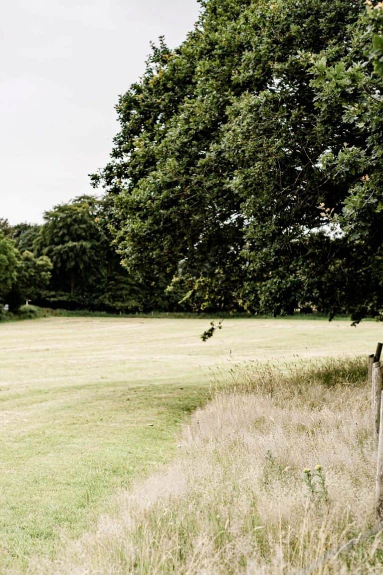 14 Ways to Have an Old Fashioned Summer to Remember