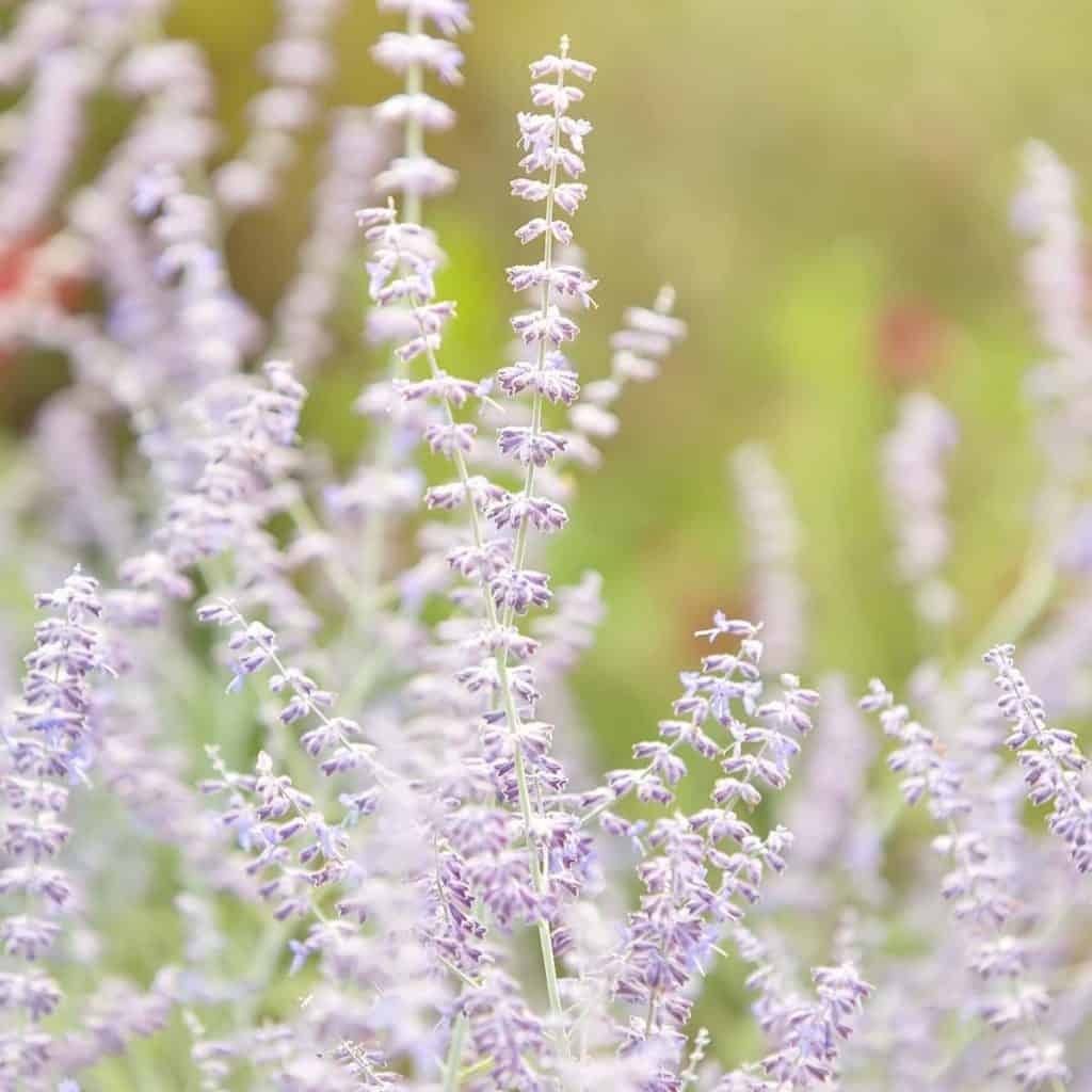 14 Fresh & Pretty Ways to Get Your Home Ready for Spring