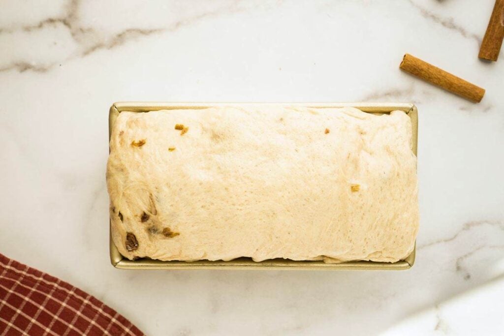 Iced Cinnamon Raisin Bread