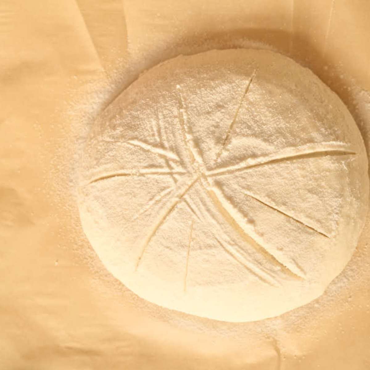 Truly No-Knead Sourdough Bread : Heart's Content Farmhouse