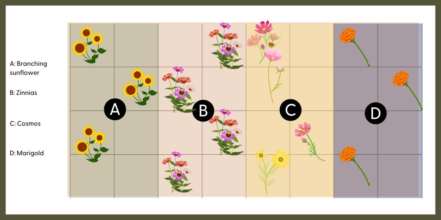 7 Lovely Cutting Garden Plans (Sample Layouts + Tips For Your Own)