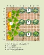 7 Practical + Inspiring 10 x 10 Garden Plans {Sample Layouts for ...