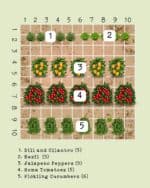 7 Practical + Inspiring 10 x 10 Garden Plans {Sample Layouts for ...