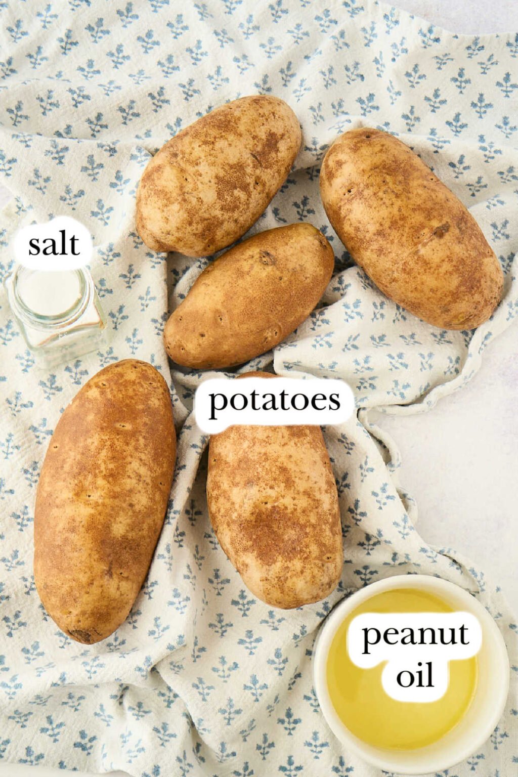 Crispy Deep Fried French Fries (Step-by-Step)