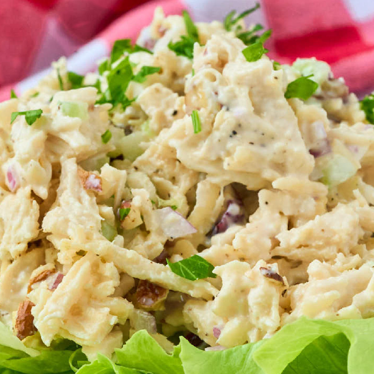 Cranberry Pecan Chicken Salad