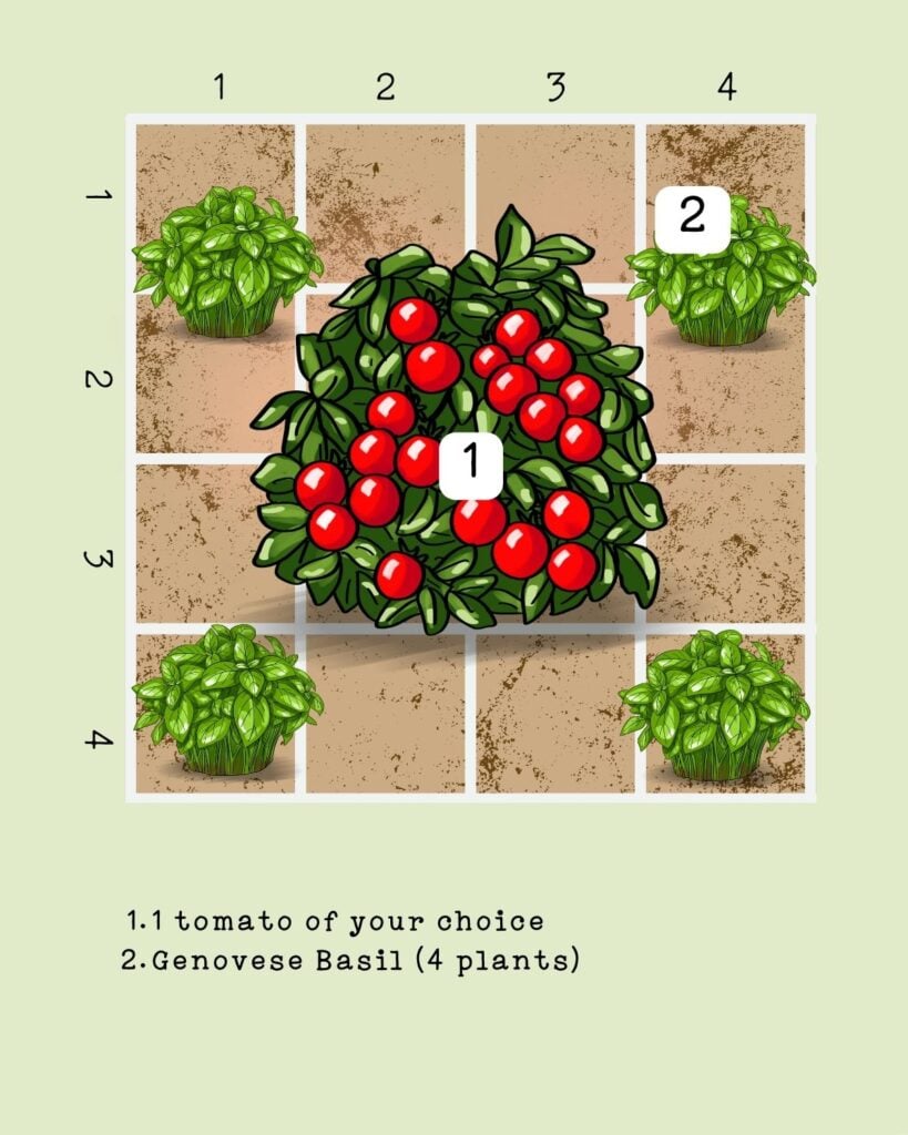 Garden Plans for 4 x 4 Beds {Sample Layouts for Vegetable Gardens}