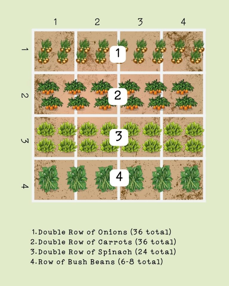Garden Plans for 4 x 4 Beds {Sample Layouts for Vegetable Gardens}