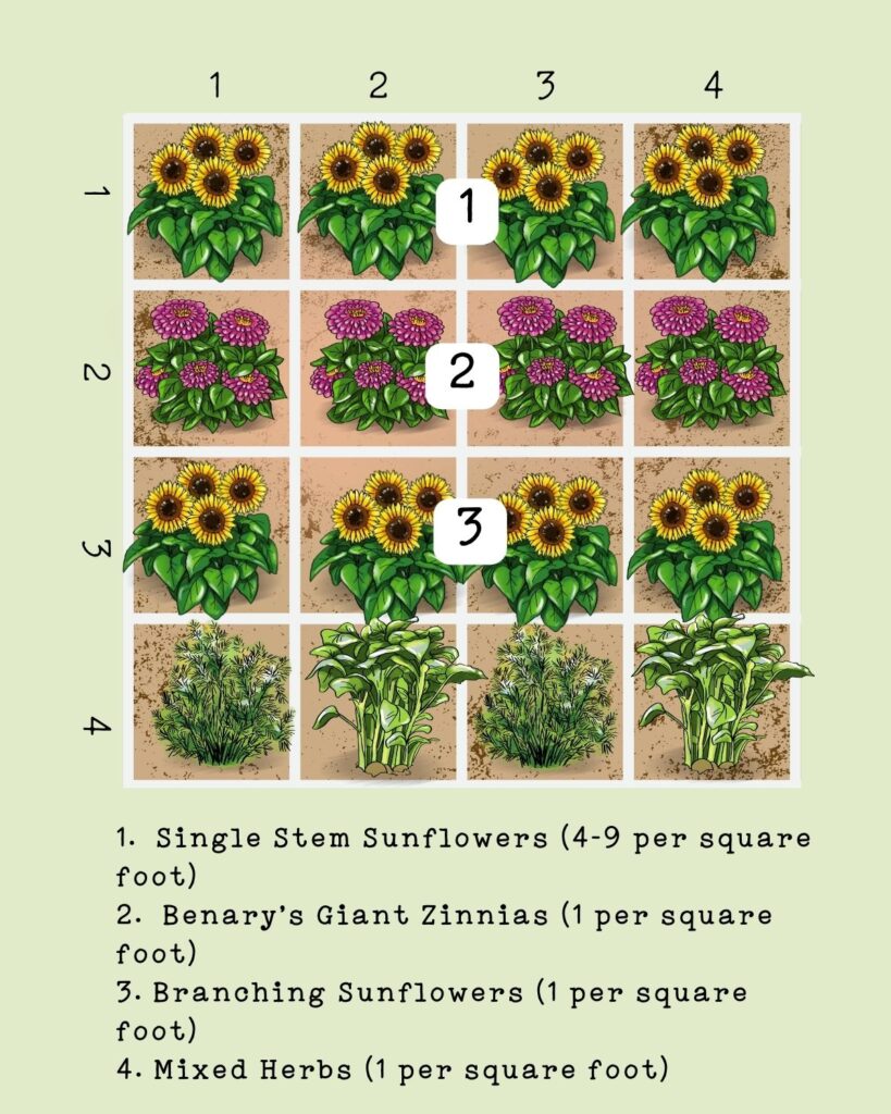 Garden Plans for 4 x 4 Beds {Sample Layouts for Vegetable Gardens}