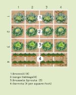 Garden Plans for 4 x 4 Beds {Sample Layouts for Vegetable Gardens}