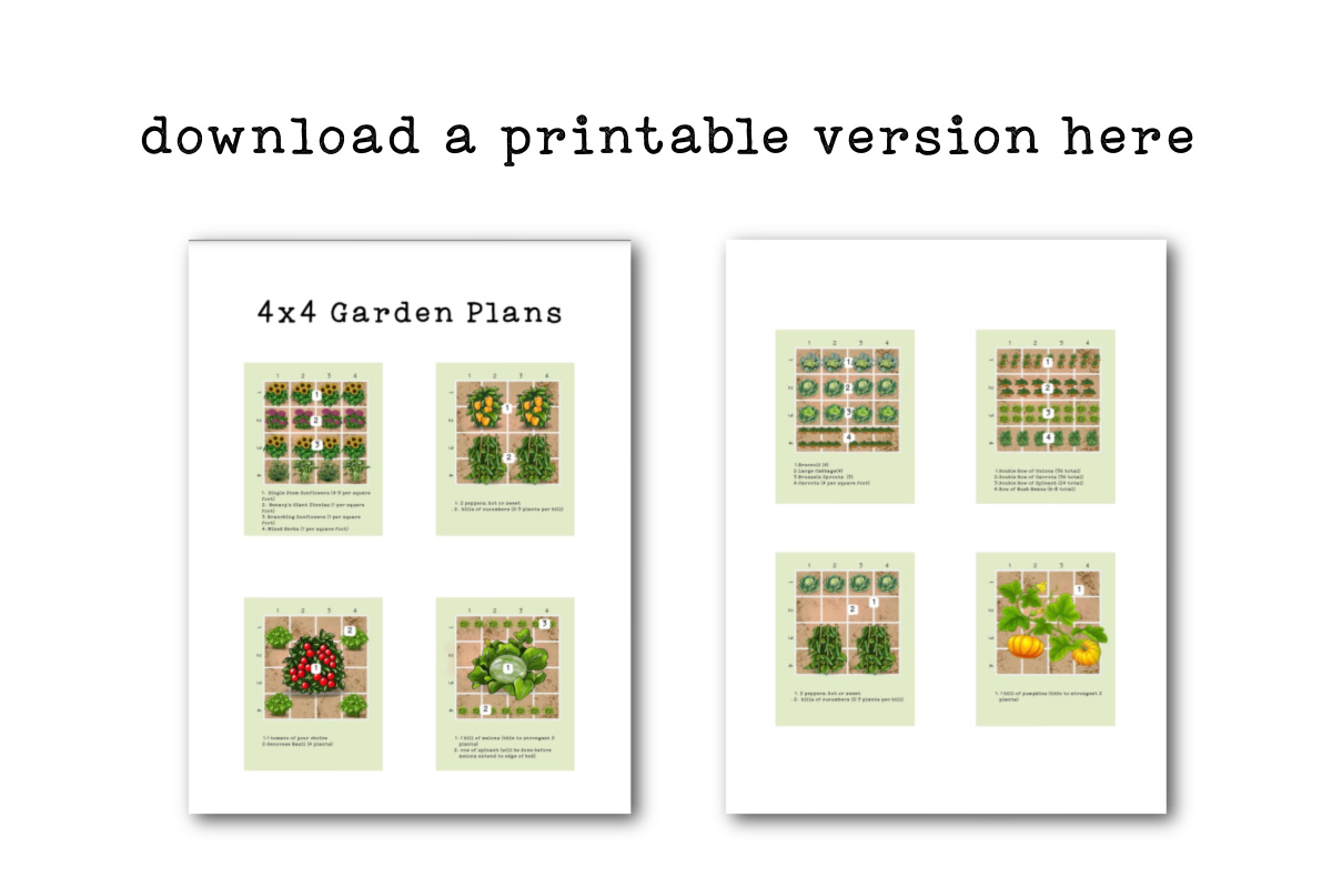 Garden Plans for 4 x 4 Beds {Sample Layouts for Vegetable Gardens}