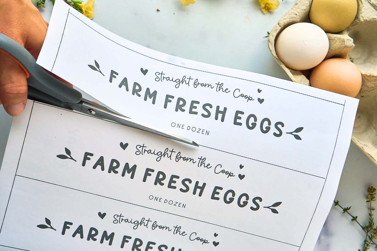 Simple Farm Fresh Egg Labels (Free Printables)