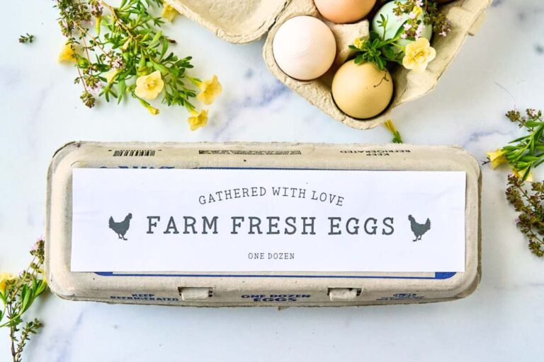 Simple Farm Fresh Egg Labels (Free Printables)
