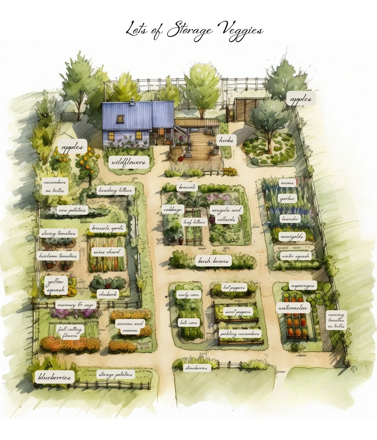 Large Vegetable Garden Planning: Sample Layouts and Tips for Success ...
