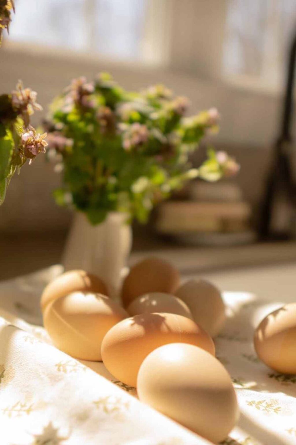 Meet the Delaware Chicken: Backyard Breed Guide