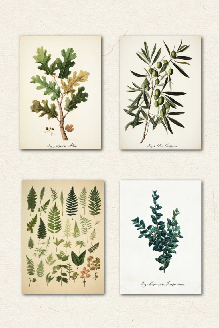 Vintage Botanical Printables : Heart's Content Farmhouse