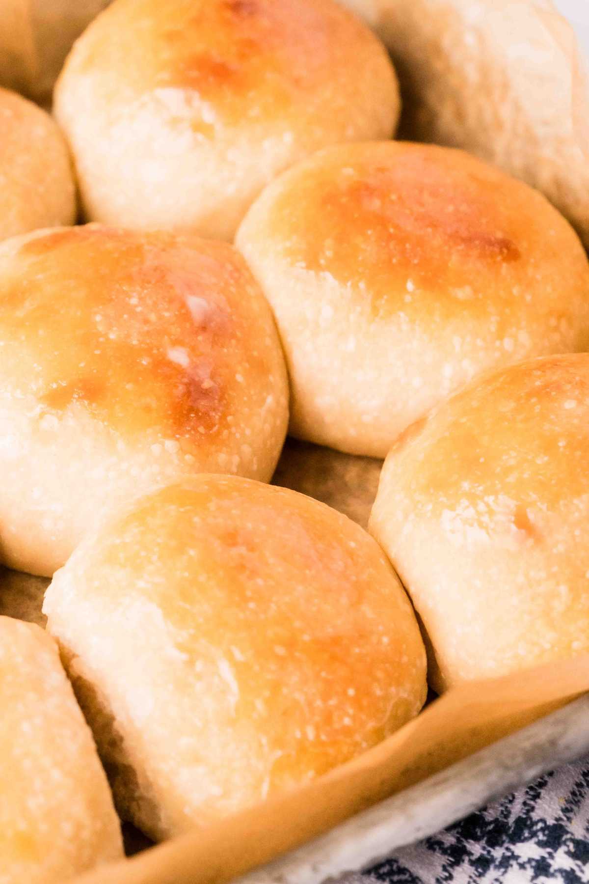 Classic Soft Sourdough Rolls