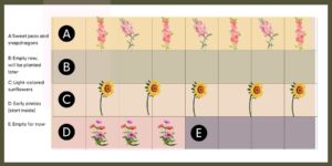 7 Lovely Cutting Garden Plans (Sample Layouts + Tips For Your Own)