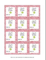 Simply Pretty Jam Jar Labels (Free Printable in 4 Styles)