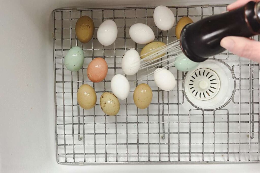 How To Clean Farm Fresh Eggs : Heart's Content Farmhouse