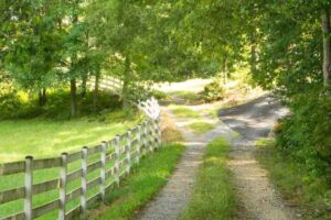 How To Lay Out Your Homestead So It's Beautiful and Efficient