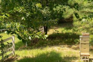 How To Lay Out Your Homestead So It's Beautiful and Efficient