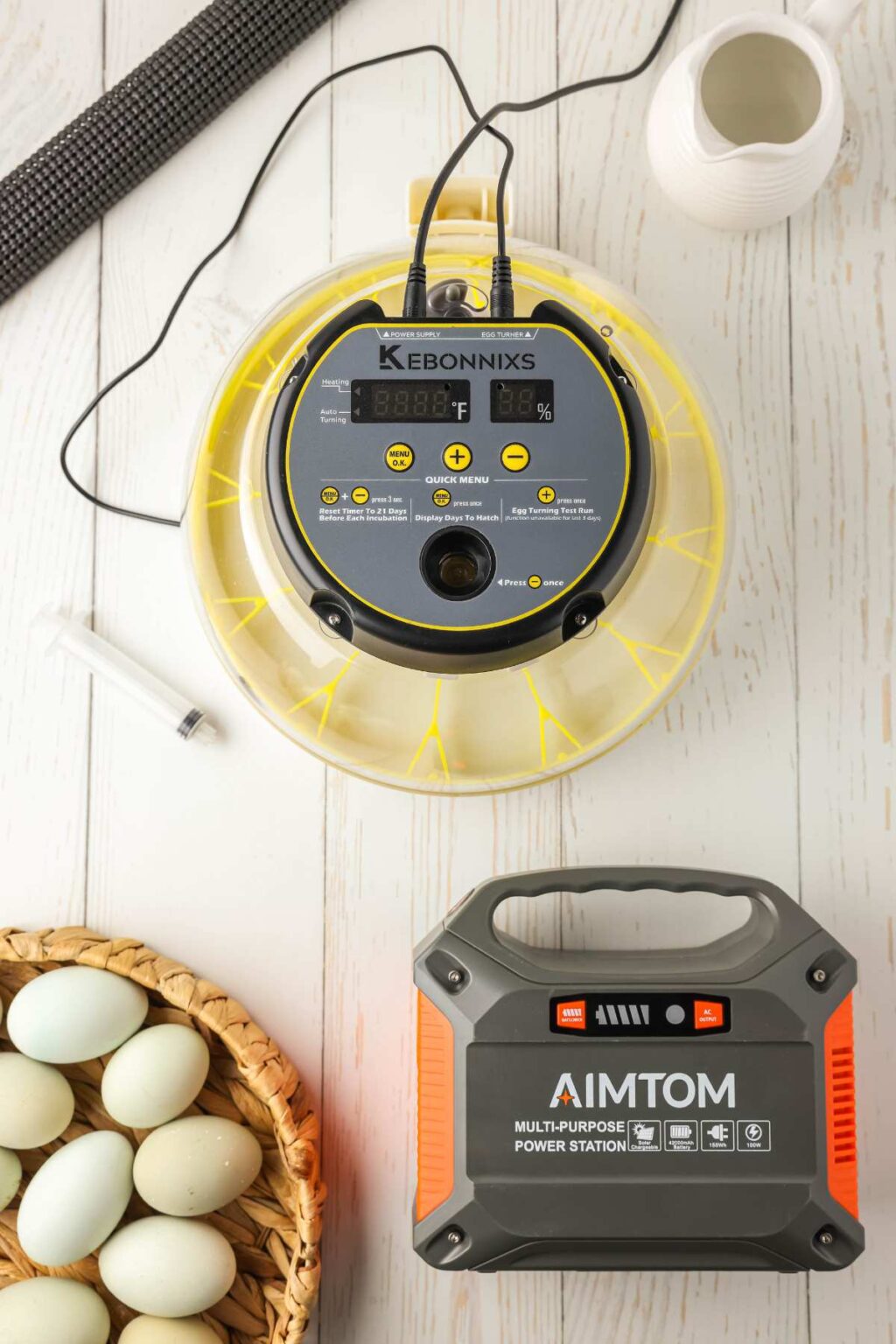How to Hatch Chicken Eggs in an Incubator