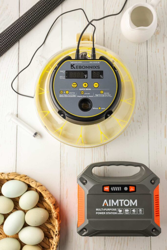 How to Hatch Chicken Eggs in an Incubator