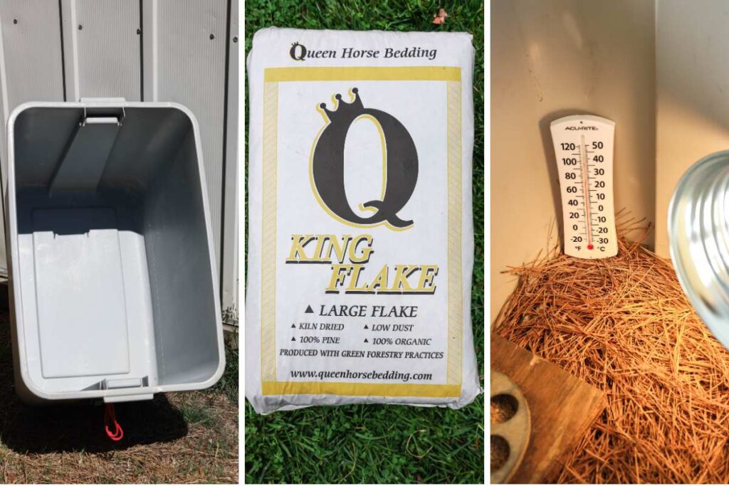 How To Raise Baby Chicks At Home A Simple Step By Step Guide