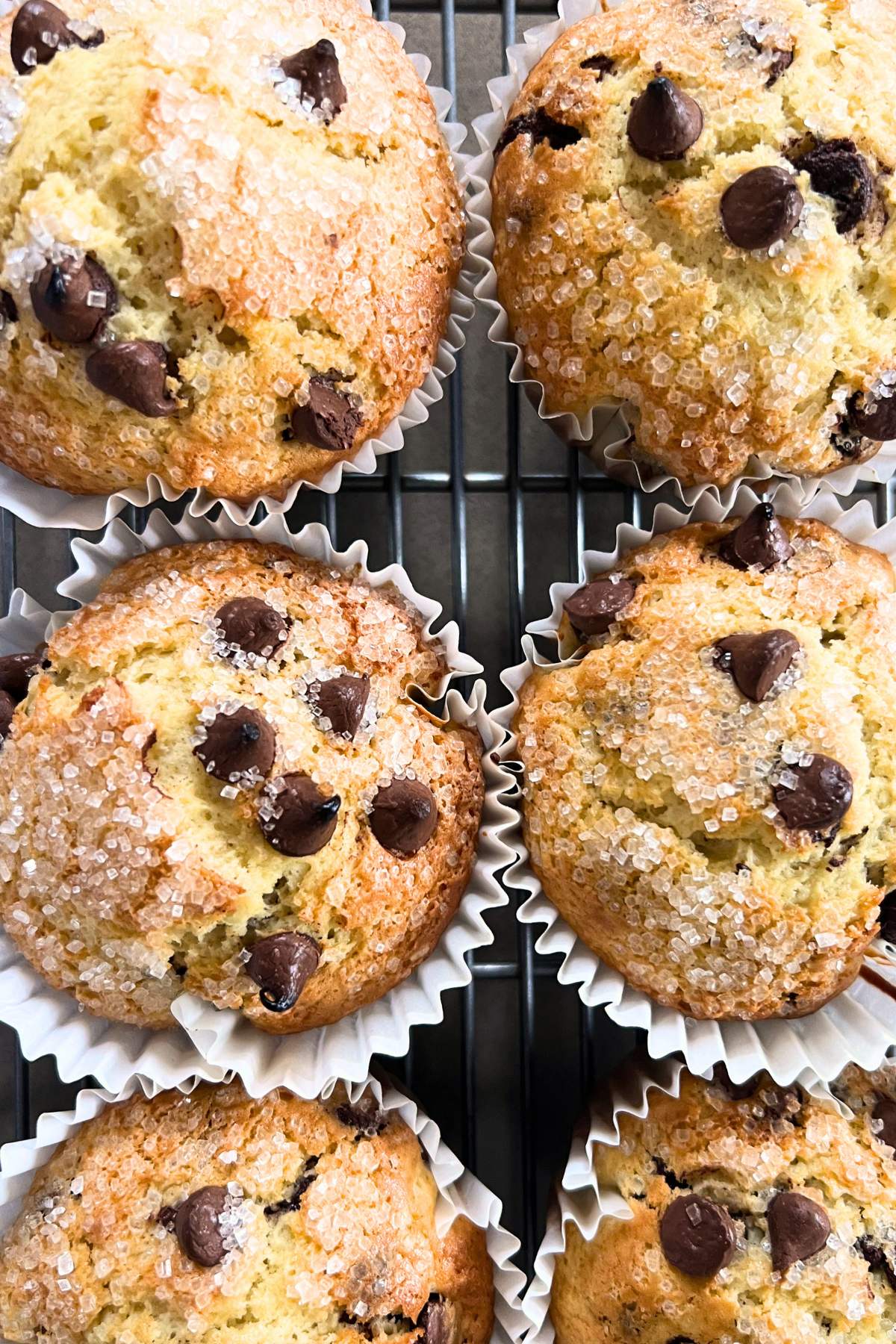 The Best Jumbo Chocolate Chip Muffins You’ll Ever Make at Home