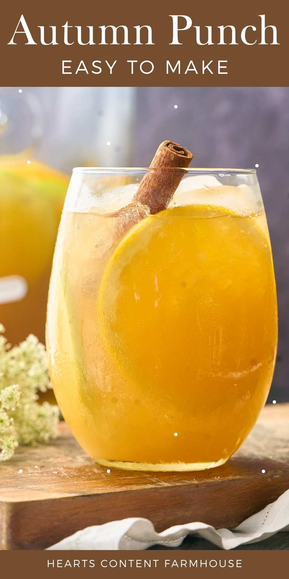 Cold Apple Cider Punch