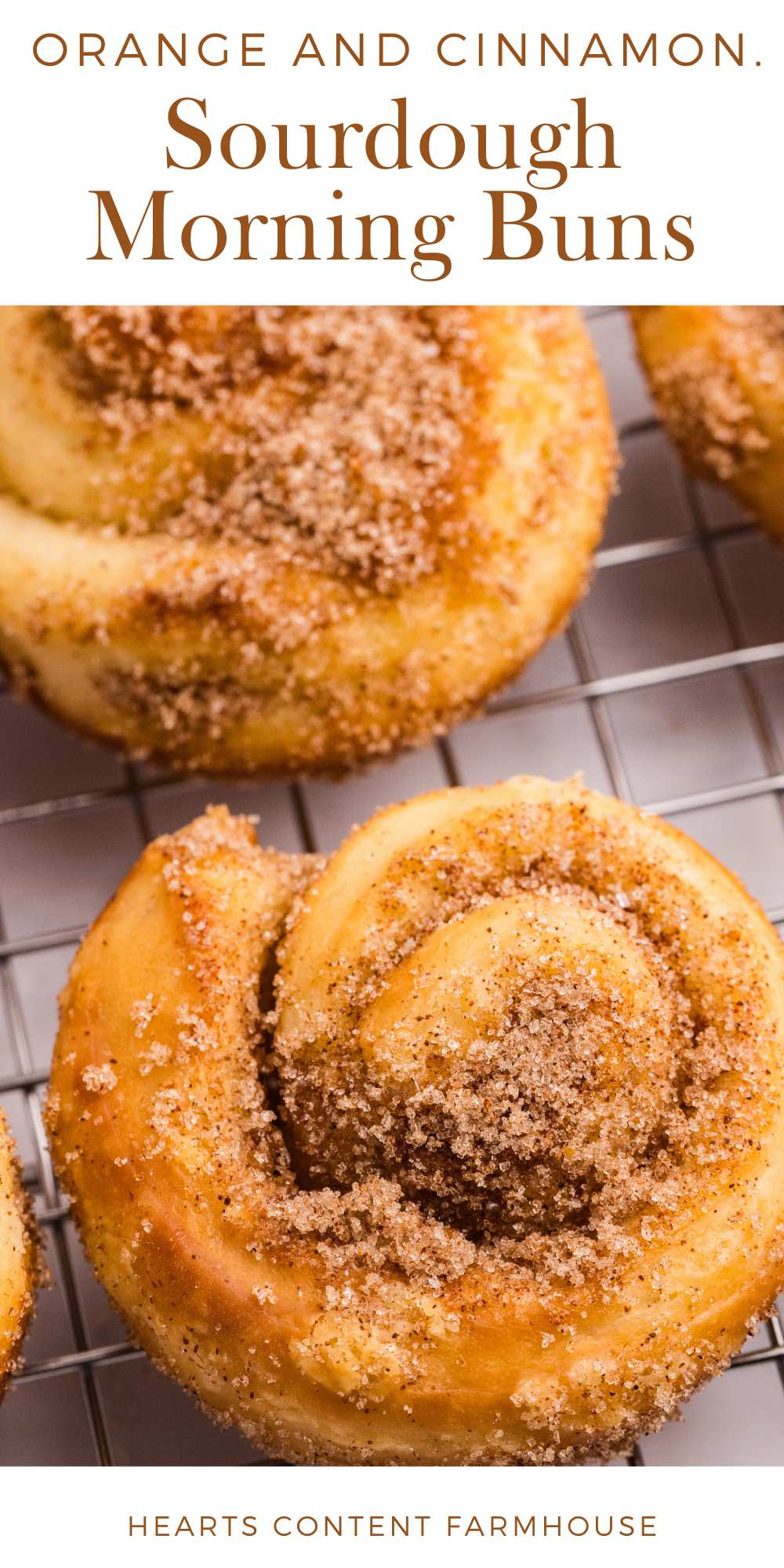 Sourdough Morning Buns